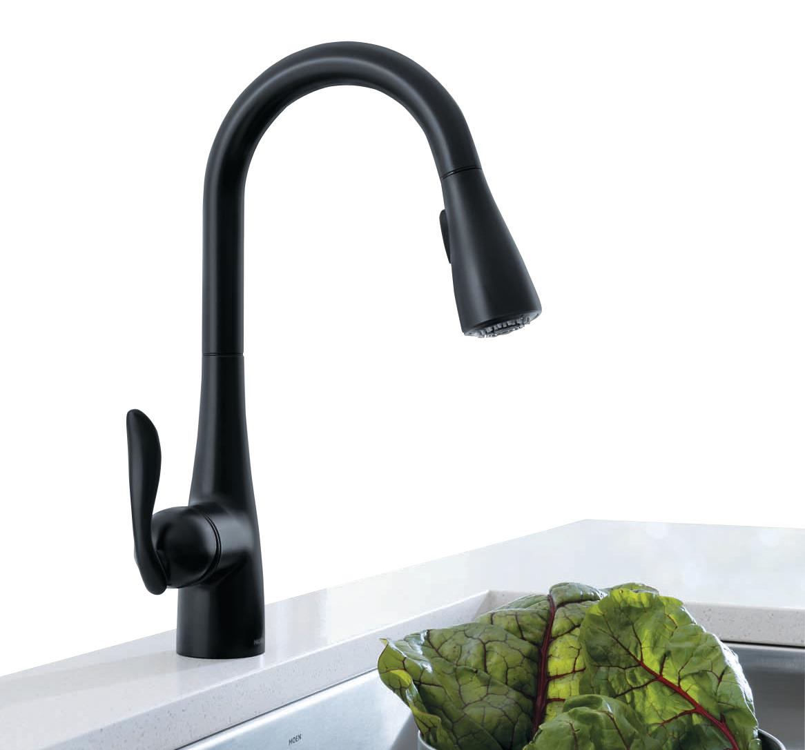 Kitchen-Faucet Option