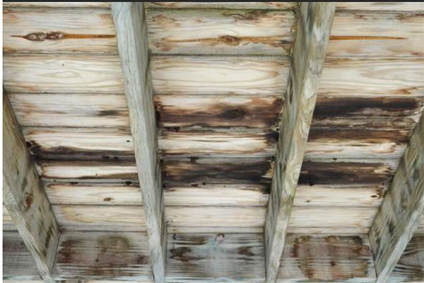 Special Glass-Infused Wood Product Found Rotting