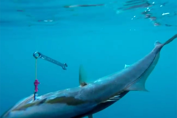How Big a Fish Can You Catch With a Box Wrench?