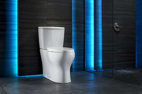 Vacuum-Assisted Low-Flow Toilet
