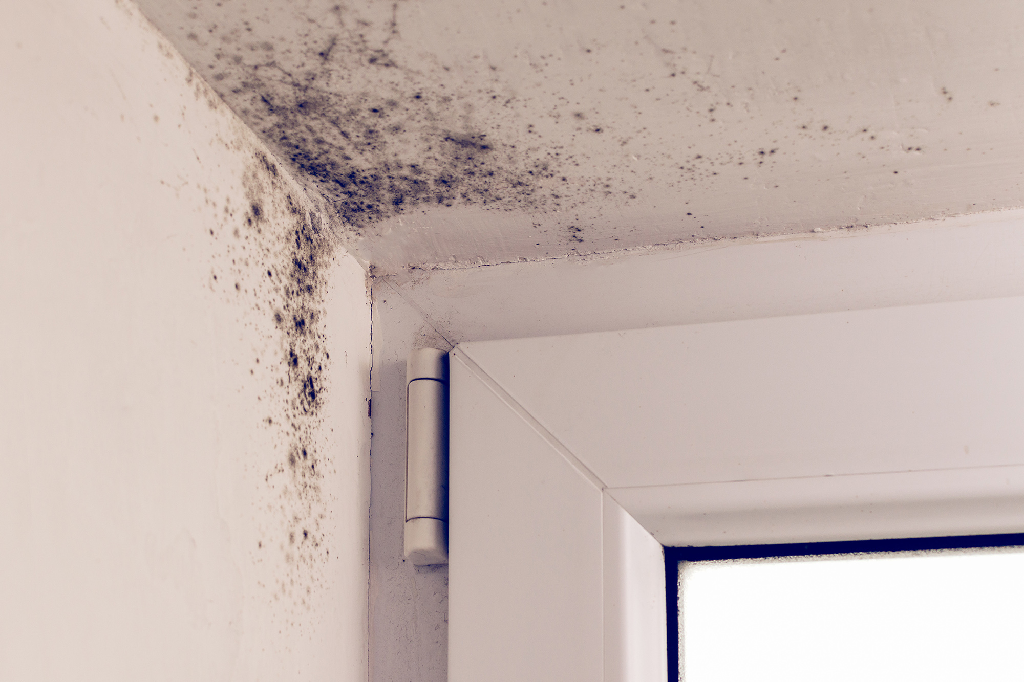 5 Risks Pros Face from Poor Indoor Air Ventilation