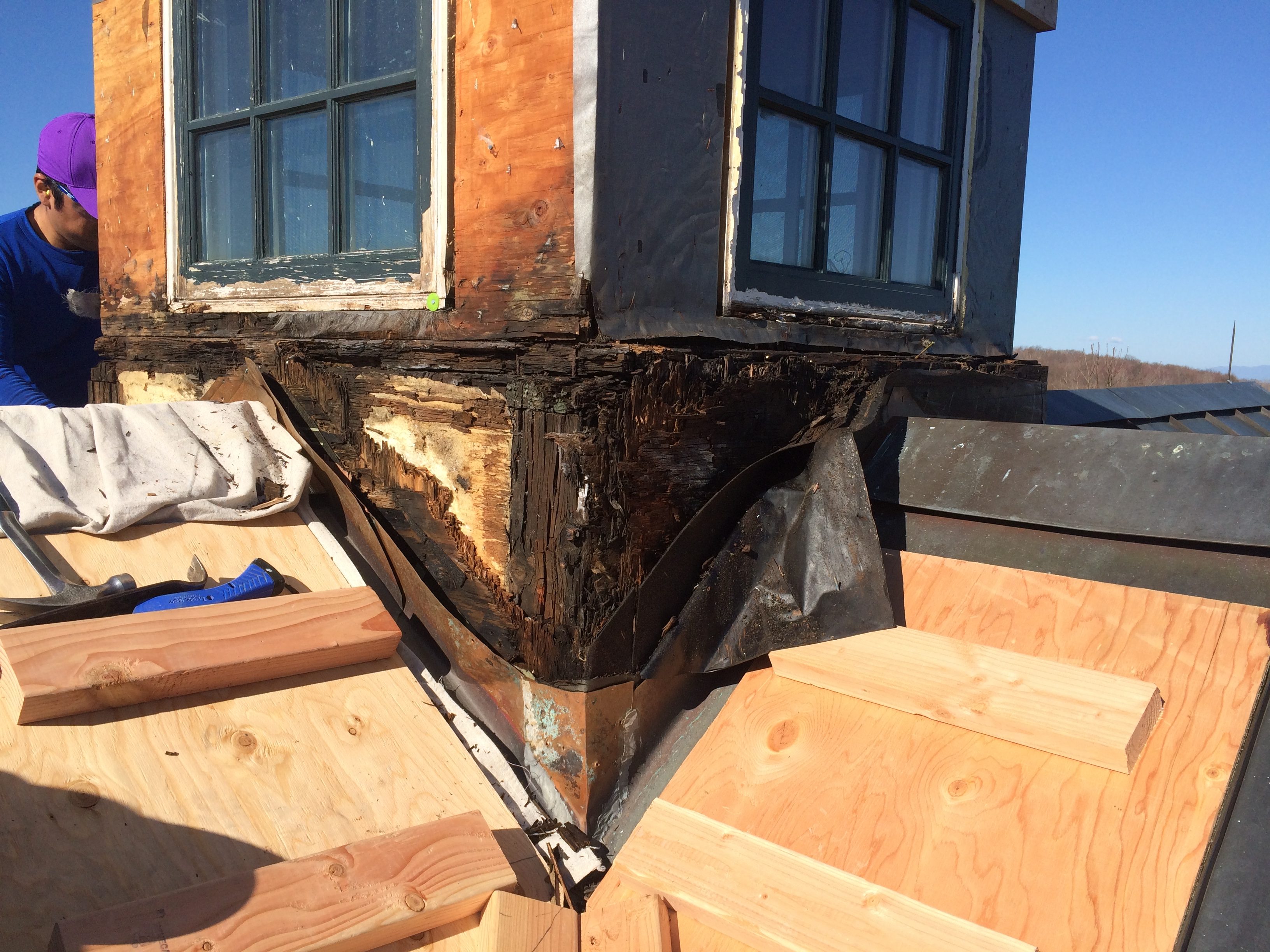 A Builder's Guide to Wood Rot