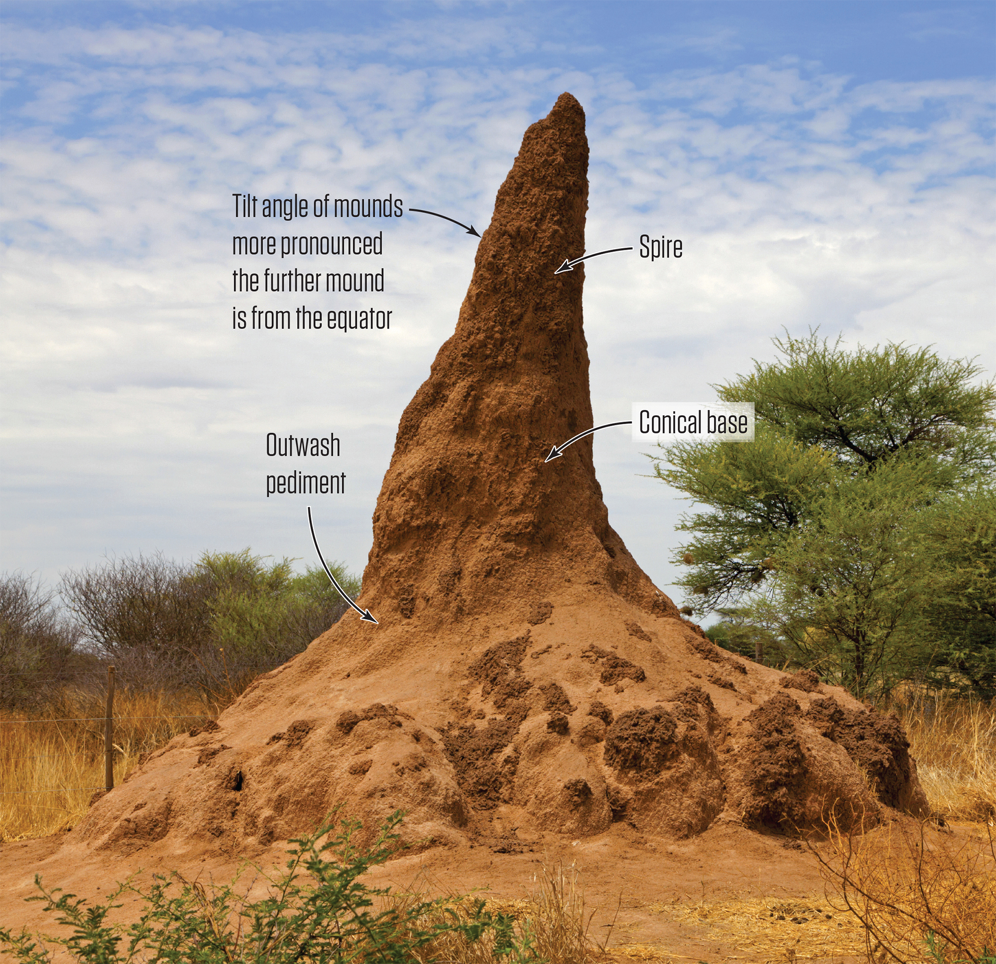 Termite HVAC (Passive Mound Ventilation)