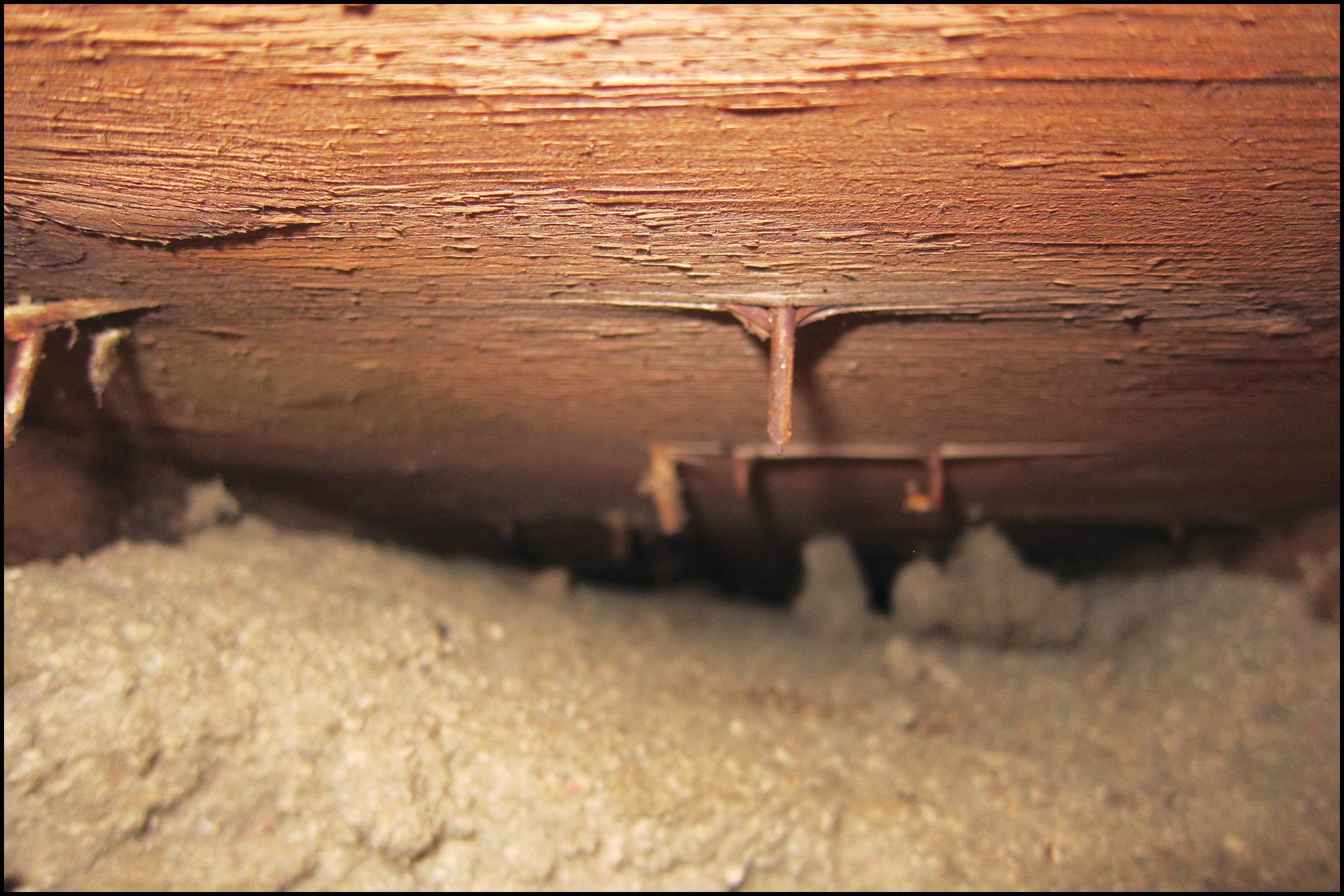 Dense-Packing Unvented Roofs