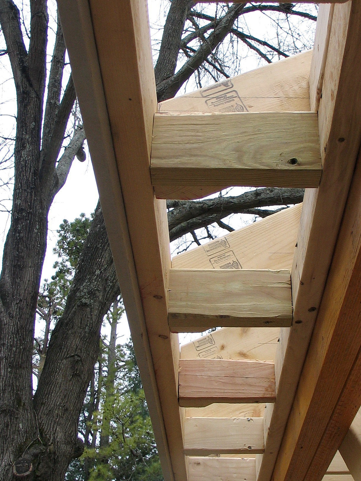 Framing Eaves and Rakes