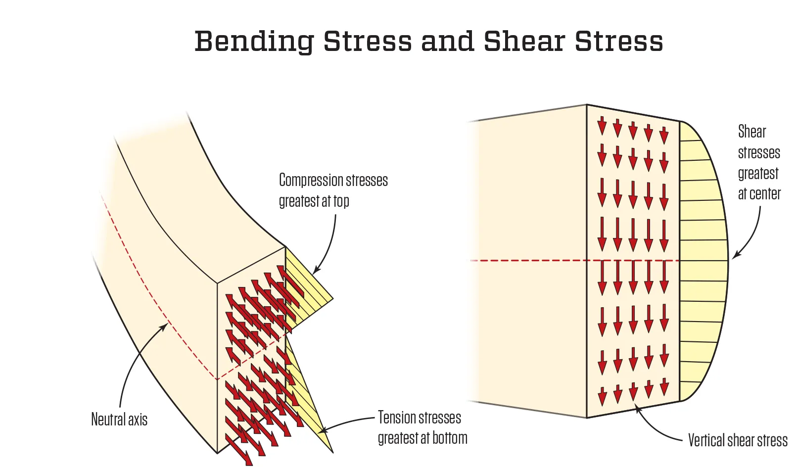Beam Stress and Strain: A Lesson in Statics