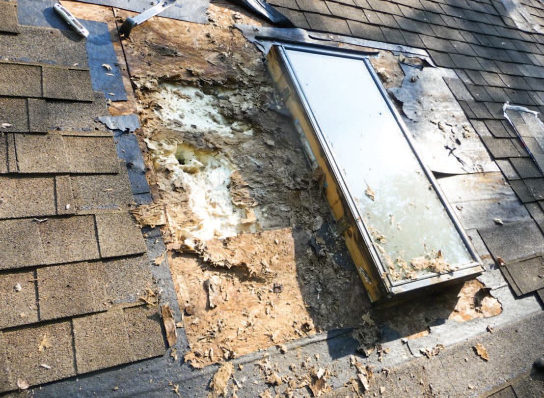 Repairing a Rotting Roof