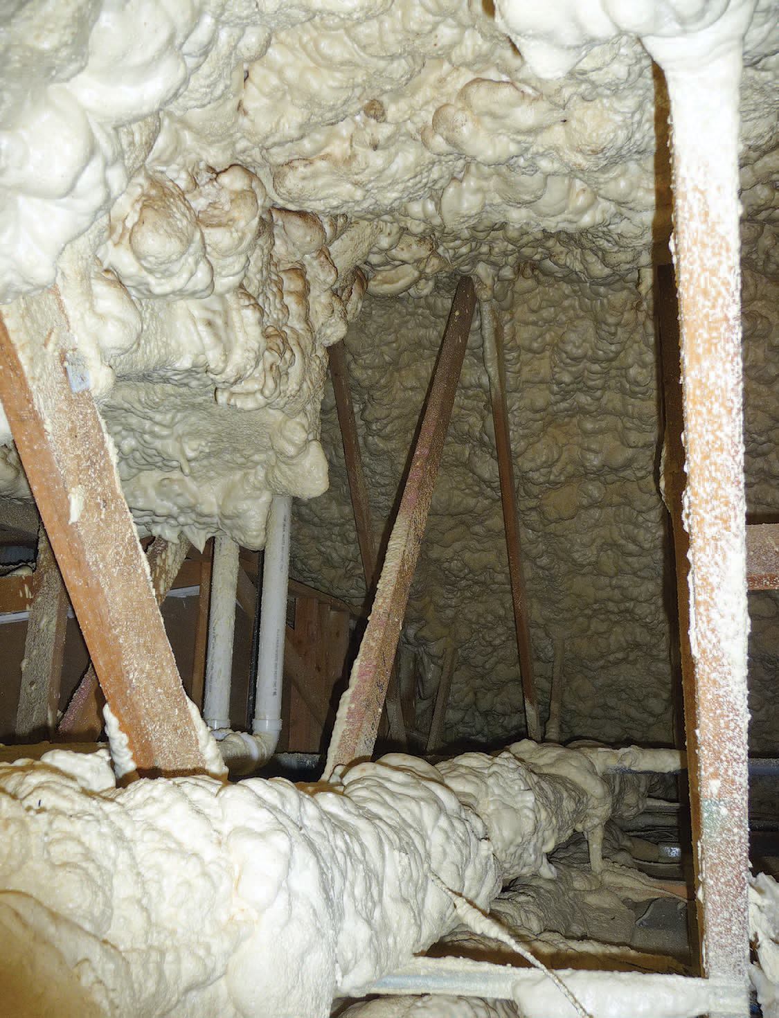 Repairing a Rotting Roof