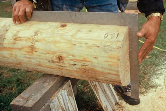 Building Decks with Log Posts