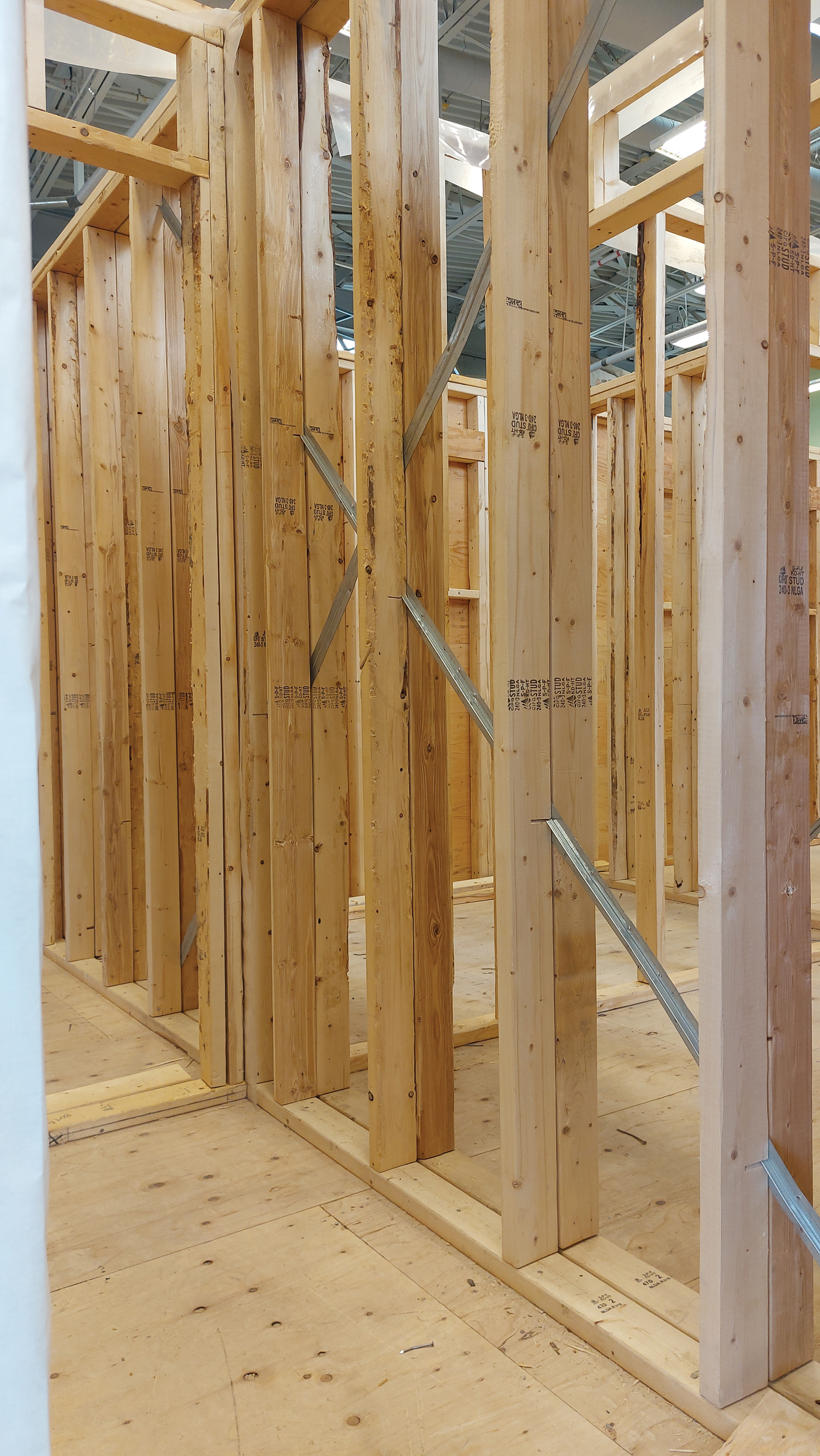 Building a Career in Carpentry