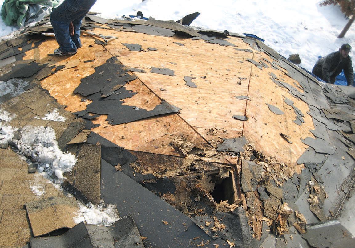 Repairing a Rotting Roof