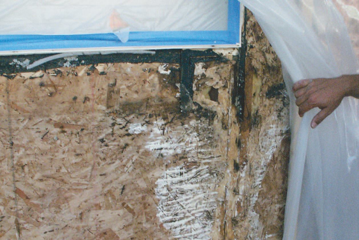 A Close Look at Stucco
