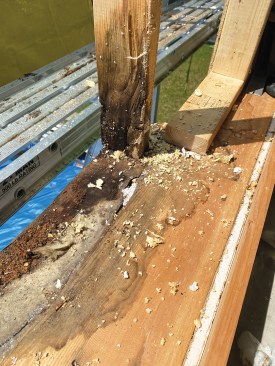 Rebuilding a Box Bay Window