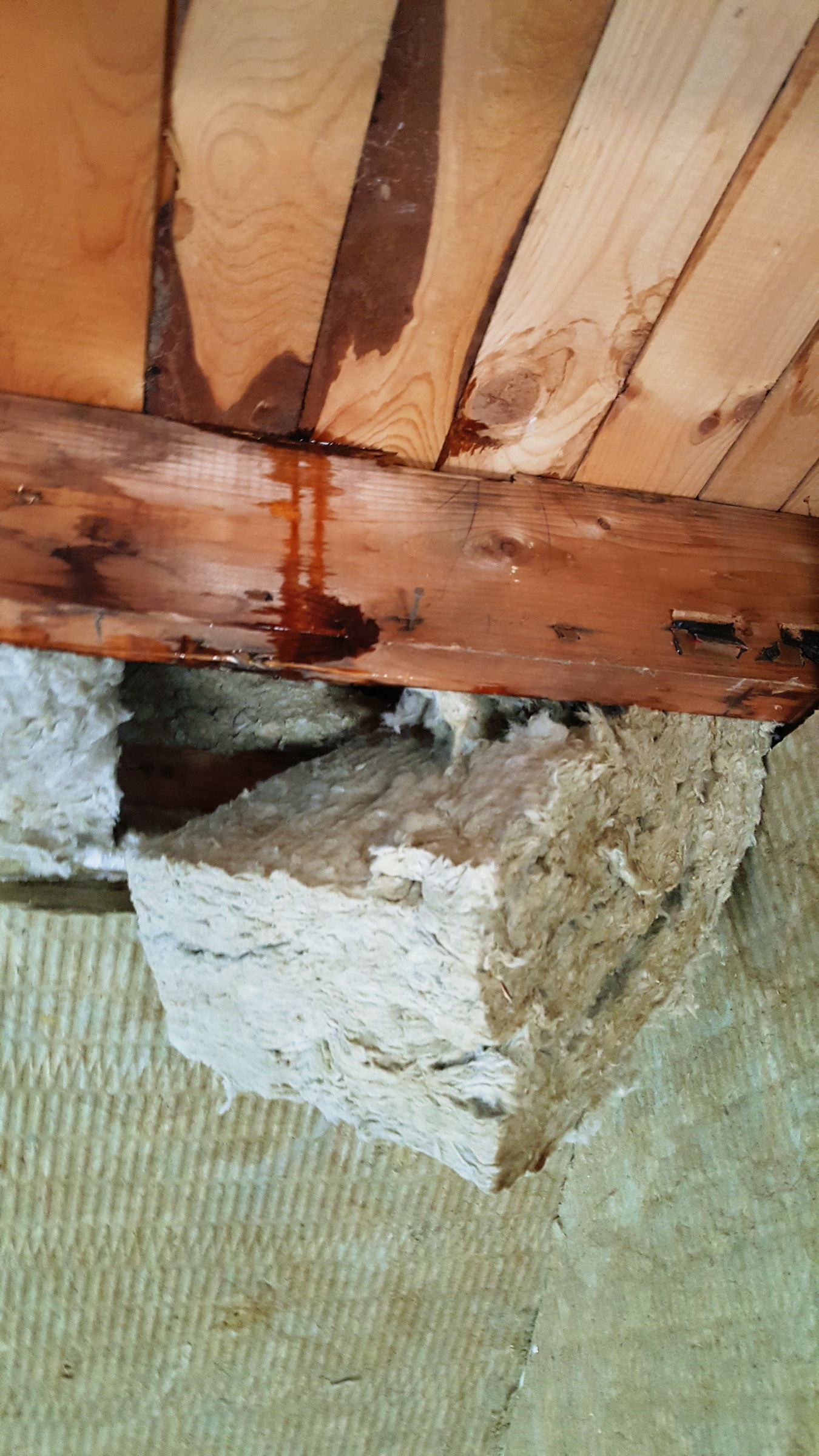 Fixing a Wet Roof