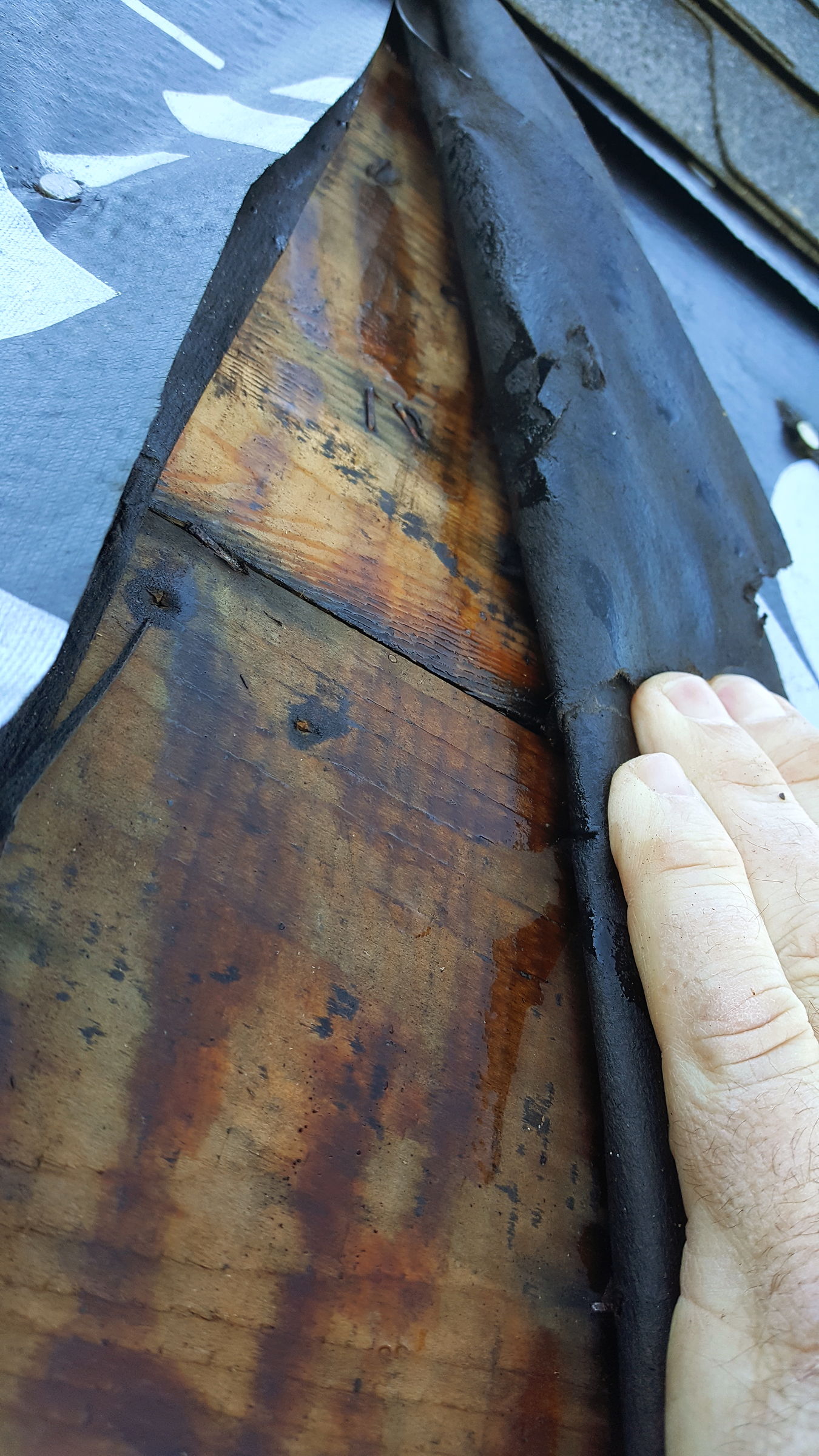 Fixing a Wet Roof