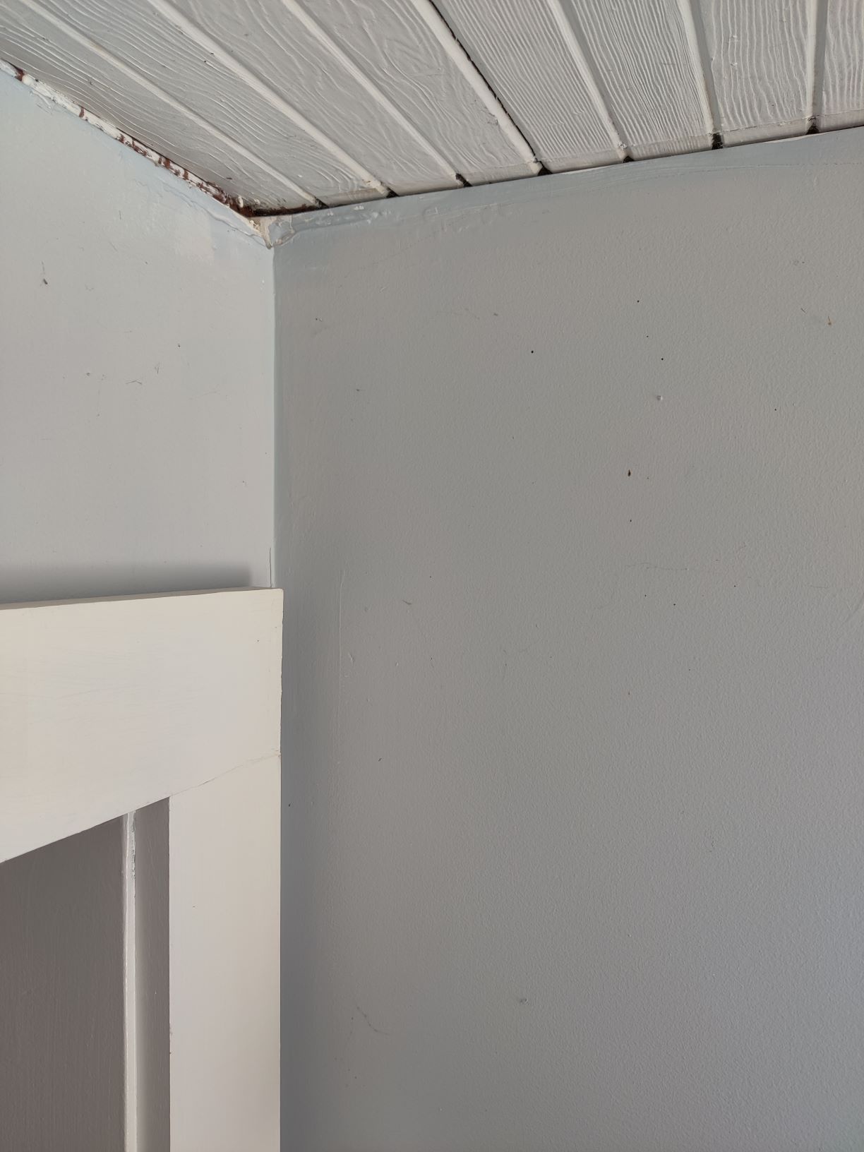 Paint Finish for Ceiling Trim?