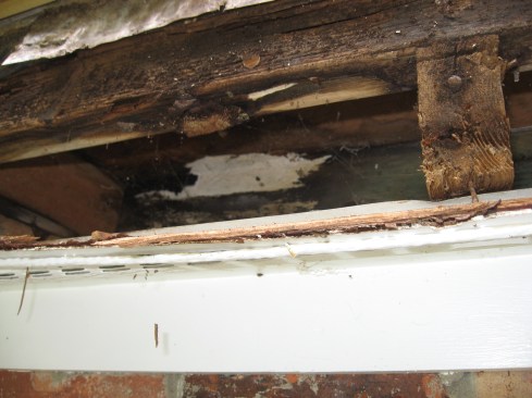 A Builder's Guide to Wood Rot