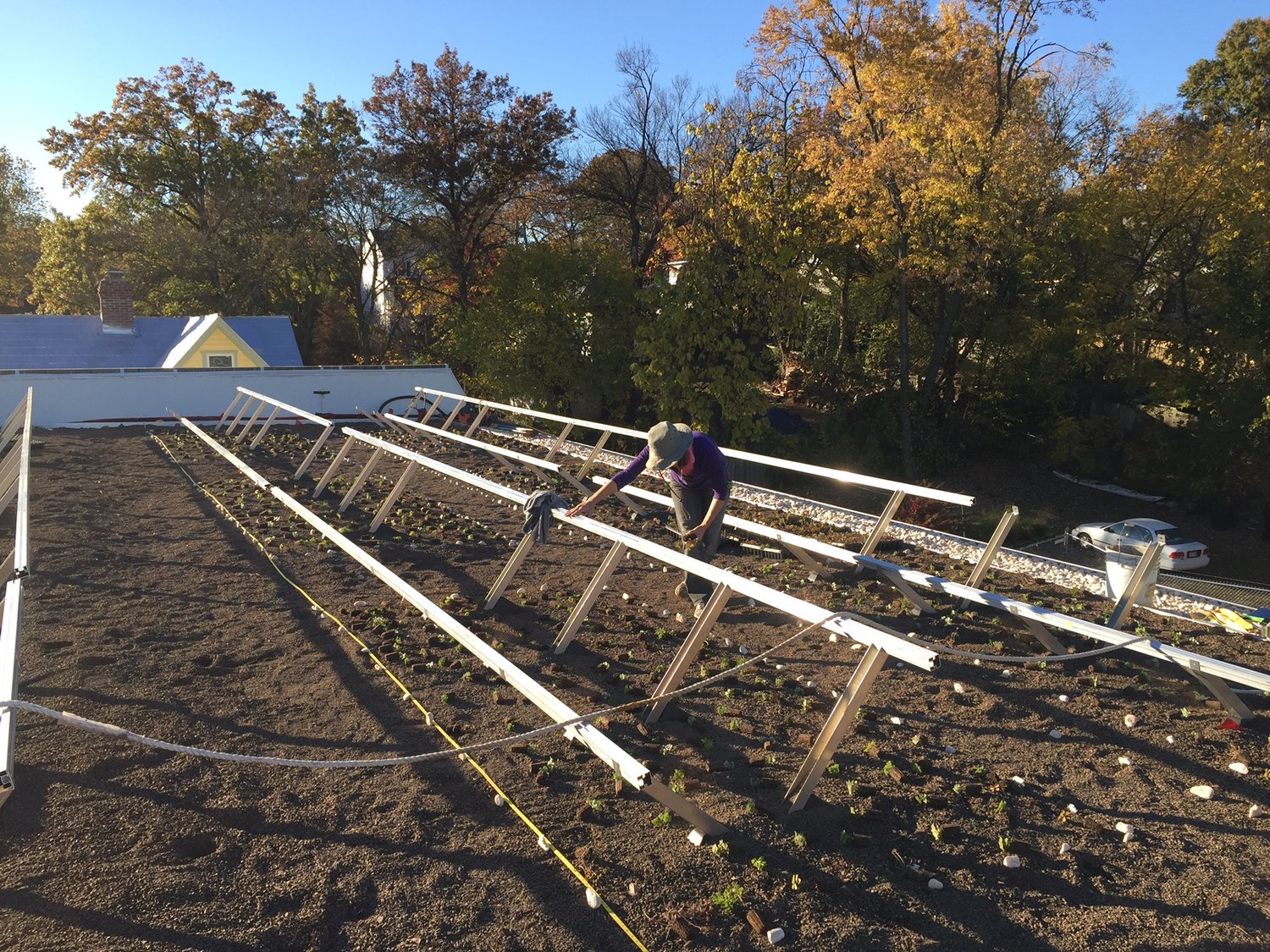 A Vegetated PV Roof