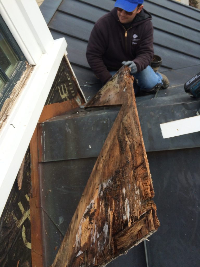 A Builder's Guide to Wood Rot