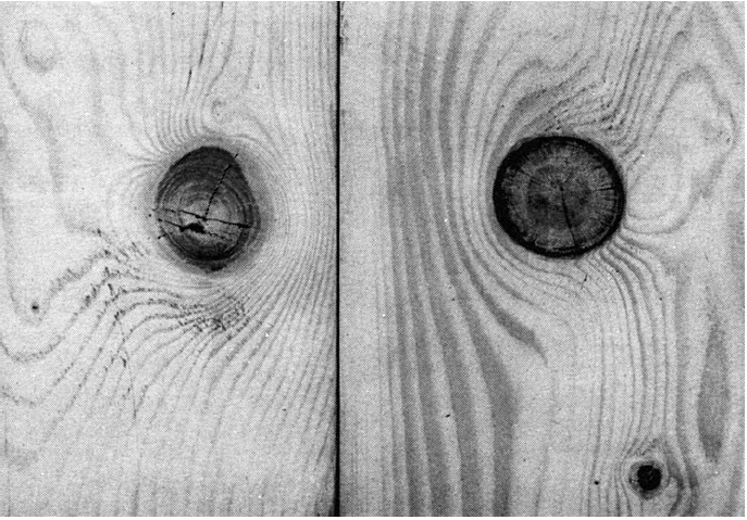 Is Lumber Quality Slipping?