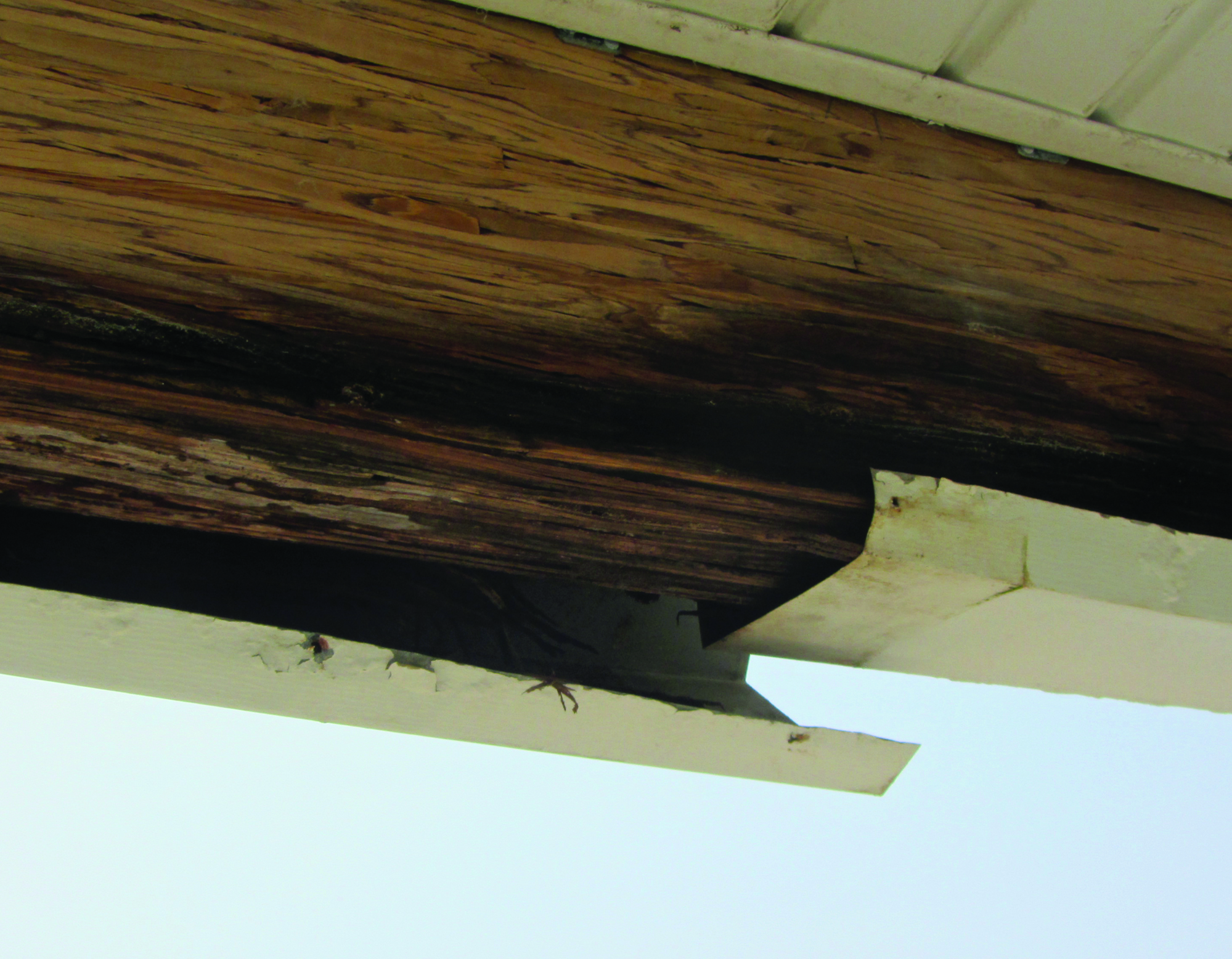 Replacing Rotted Beams on a Seaside Condo