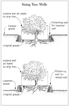 Protecting Trees During Site Work