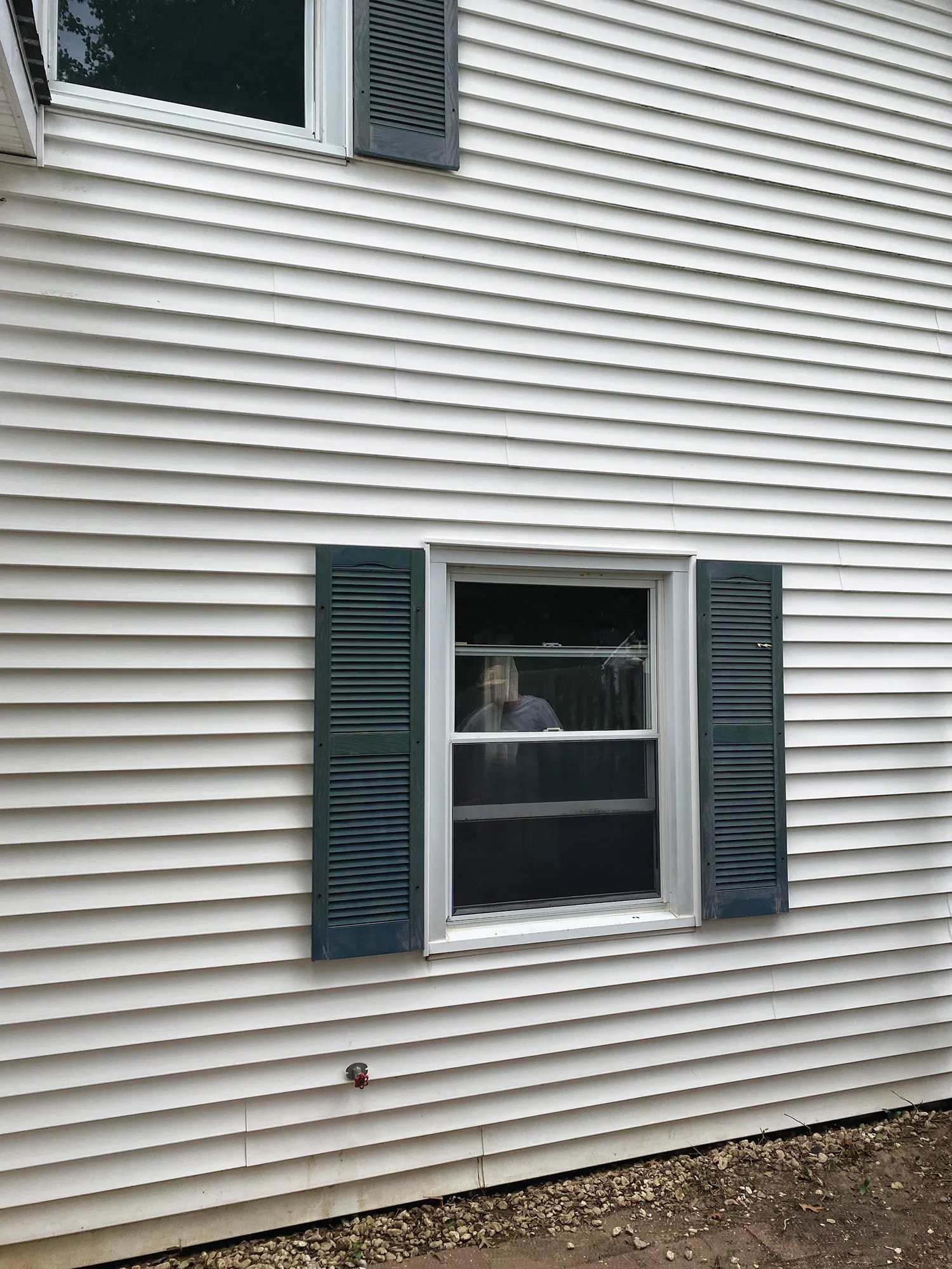 Repairing a Termite-Damaged House
