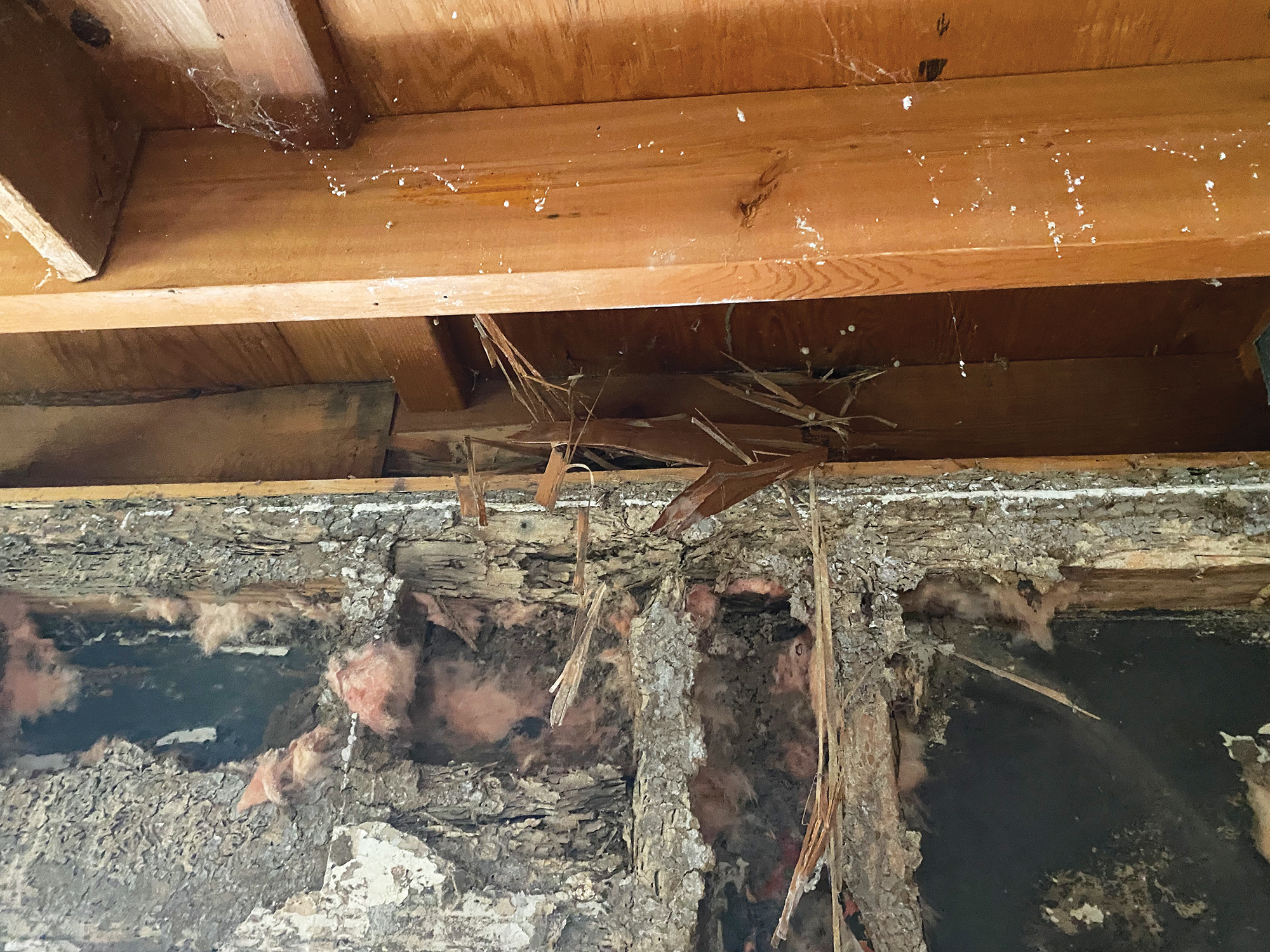 Repairing a Termite-Damaged House
