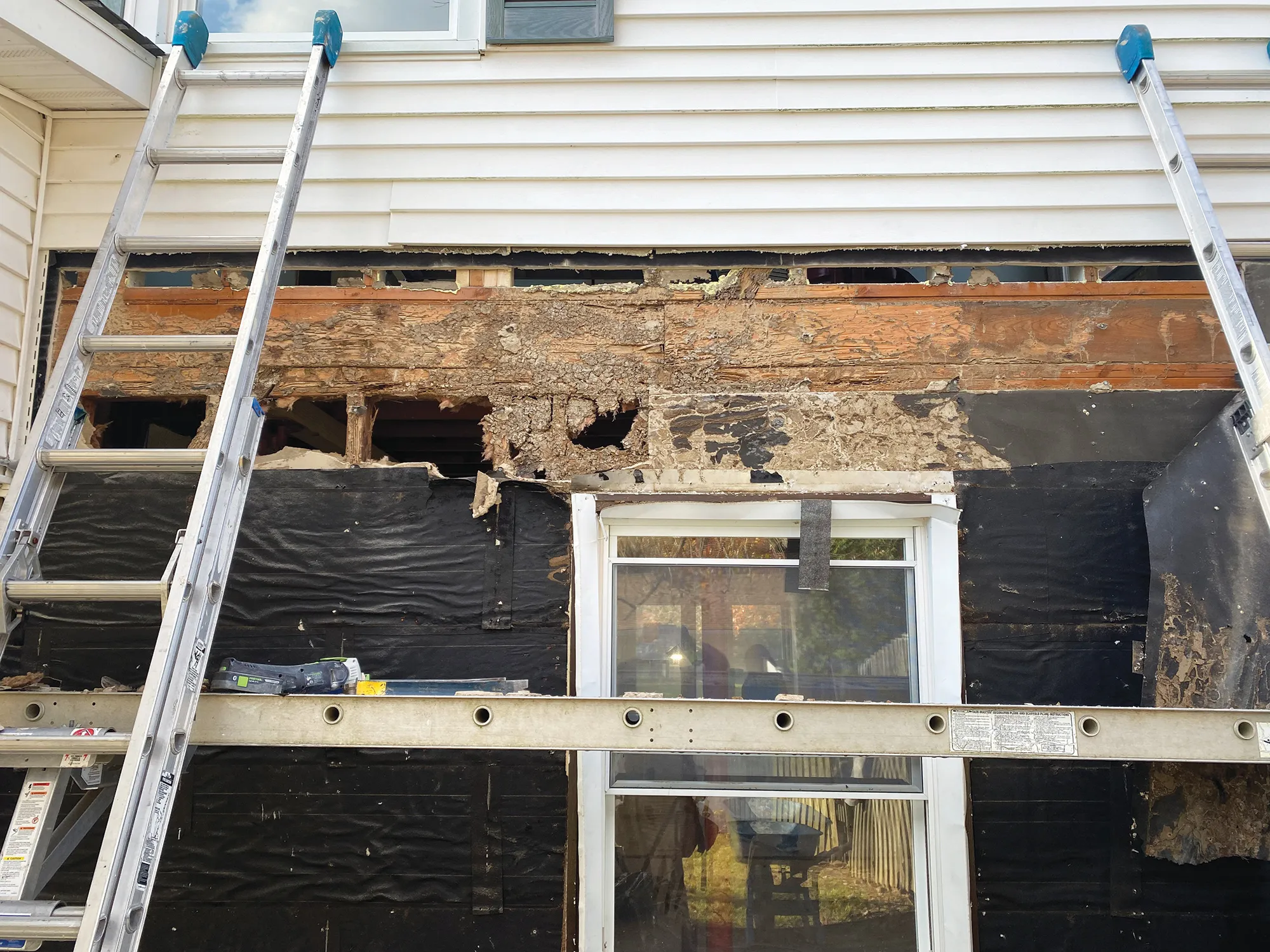 Repairing a Termite-Damaged House