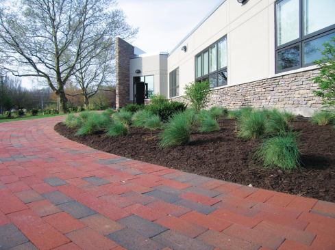 Installing Pavers