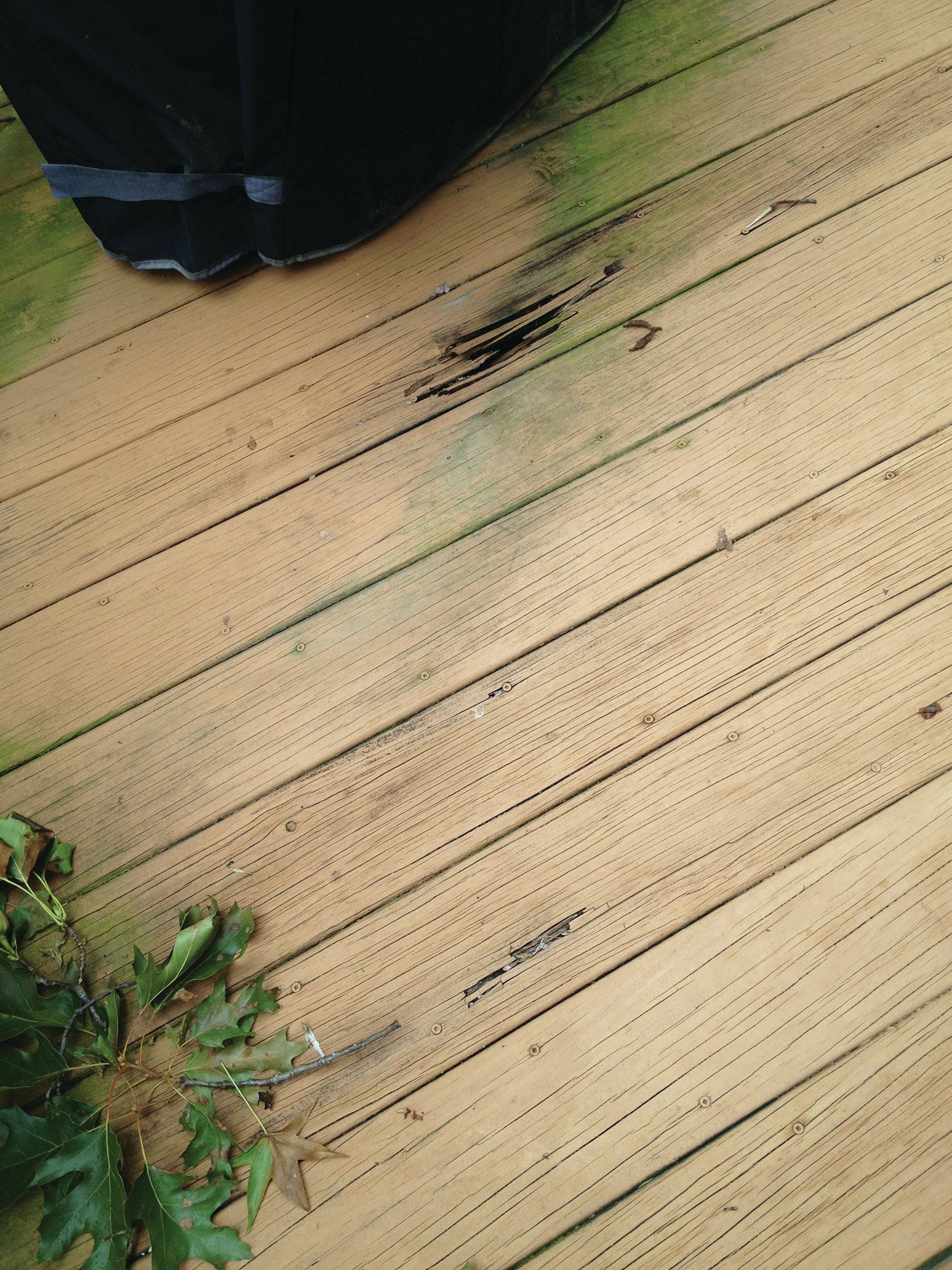 Treated Wood Update