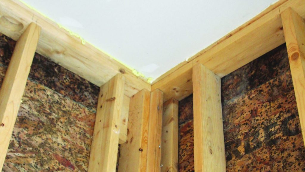 Cleaning Up Moldy OSB