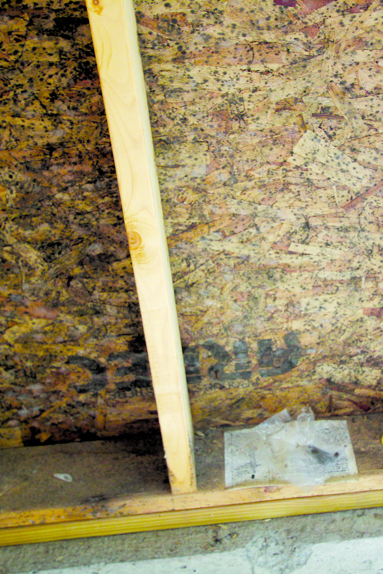 Cleaning Up Moldy OSB