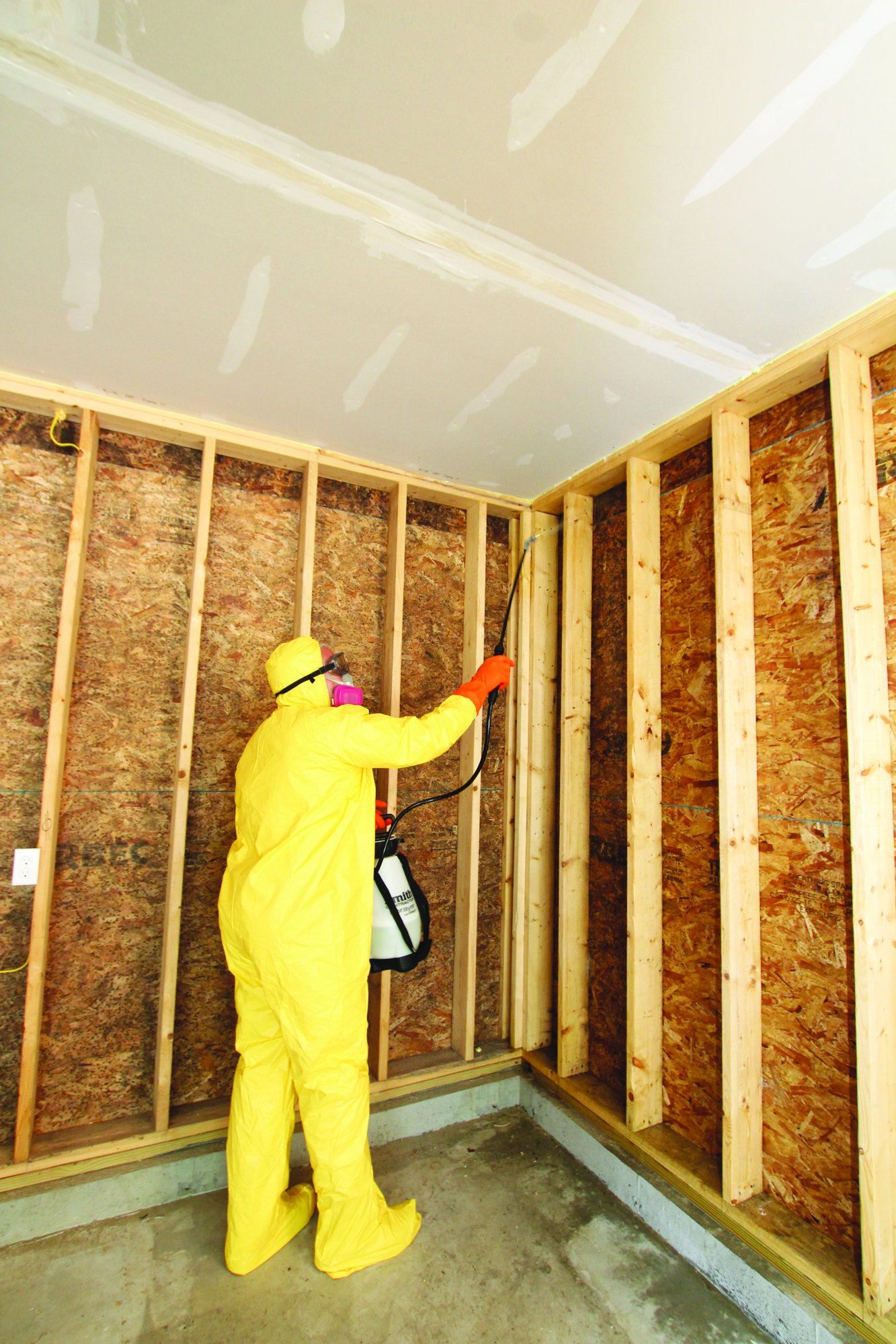 Cleaning Up Moldy OSB