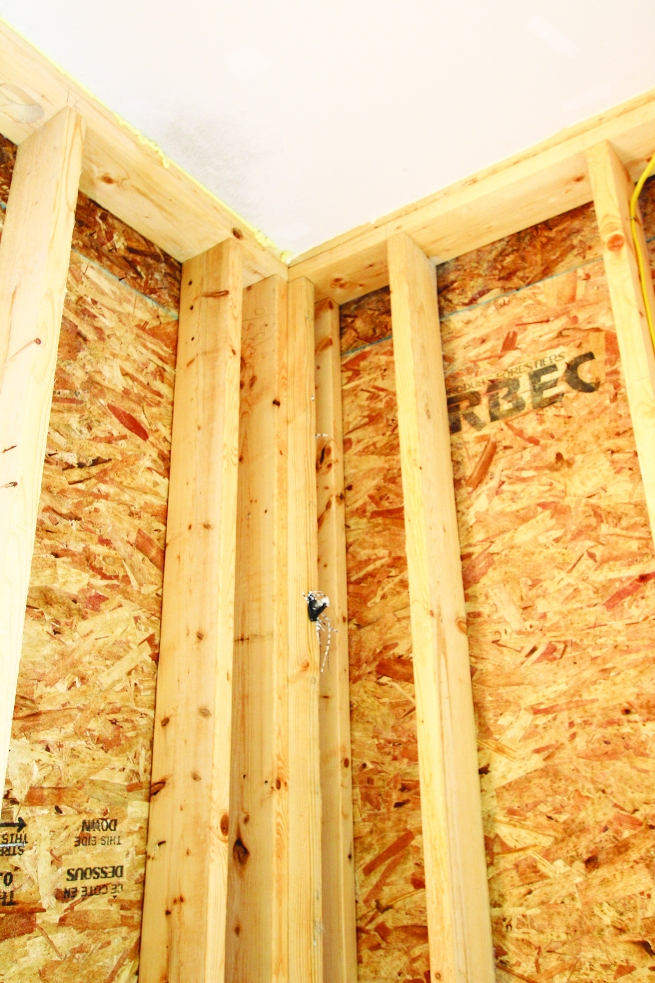 Cleaning Up Moldy OSB