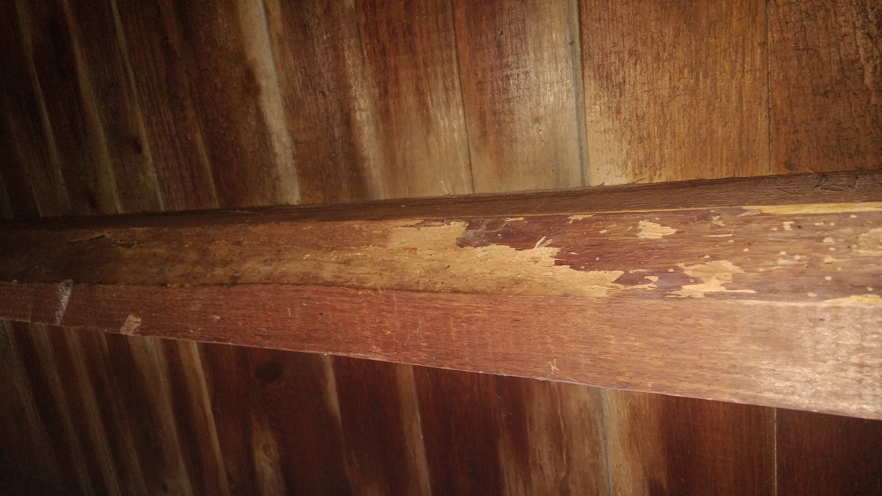 The Strength of Wood