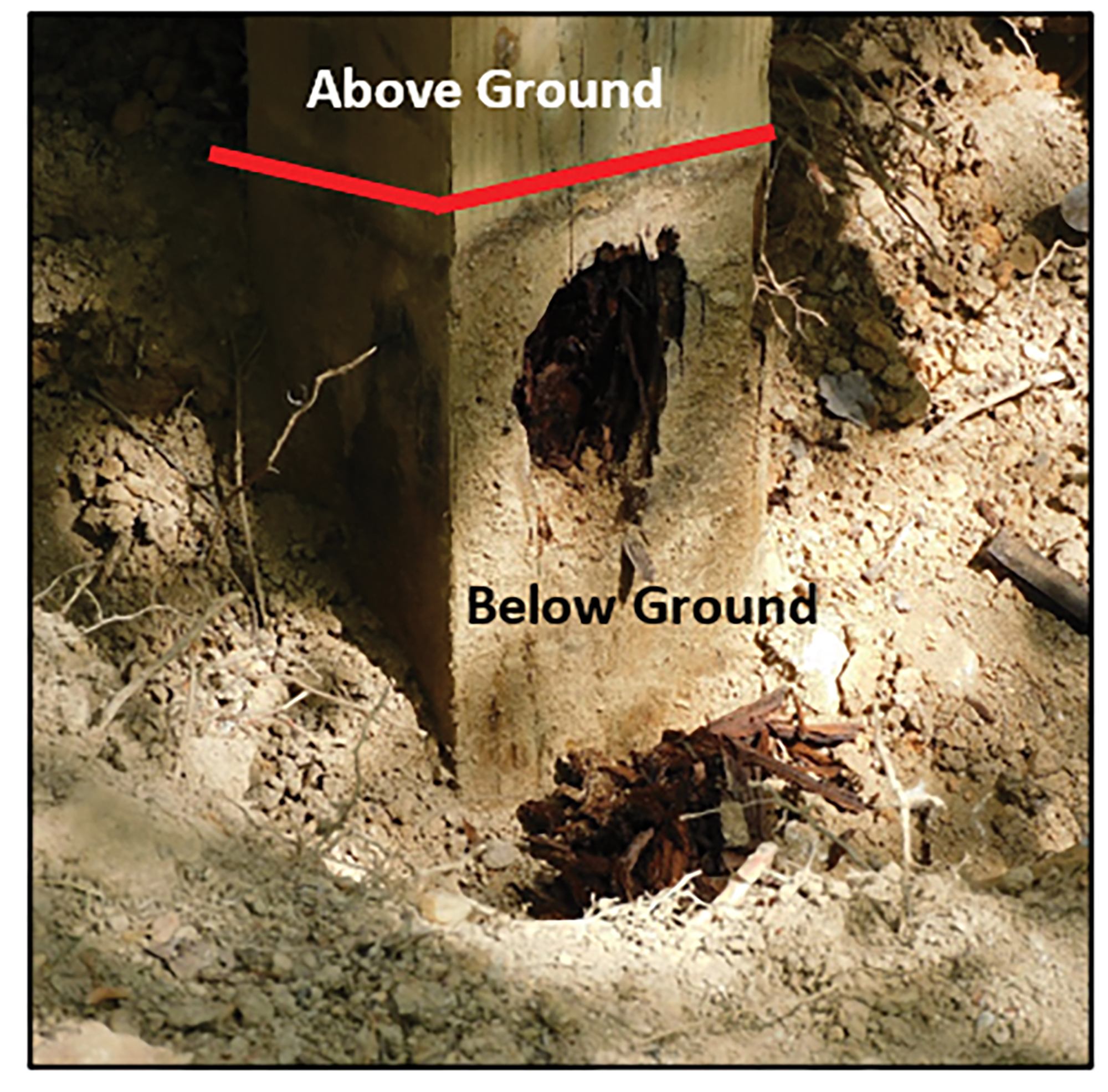 Right-Sizing Deck Beams